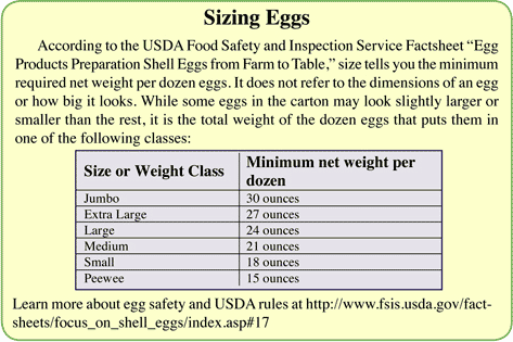 Everything Worth Knowing About Chicken Eggs - Backyard Poultry